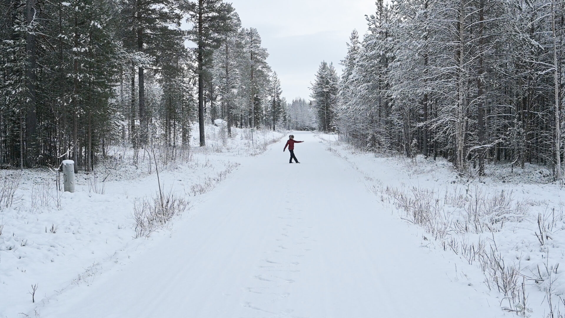 Body & Landscape - Wookey Works